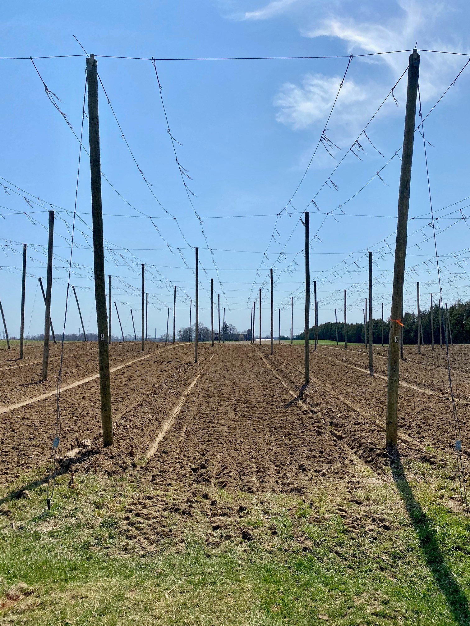 hopyard-final-results-april-4-2021-1 | onspecialtycrops